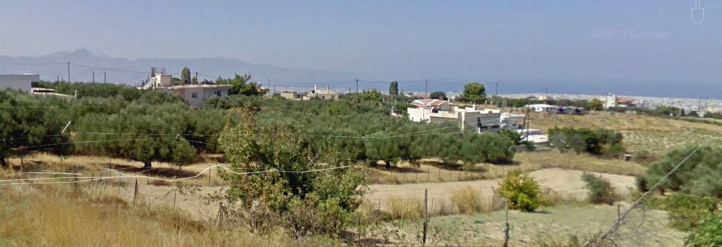 ΟΥΛΑΦ ΠΑΛΜΕ ΨΗΛΆ ΟΙΚΟΠΕΔΟ 3500τμ ΜΕ ΘΕΑ
